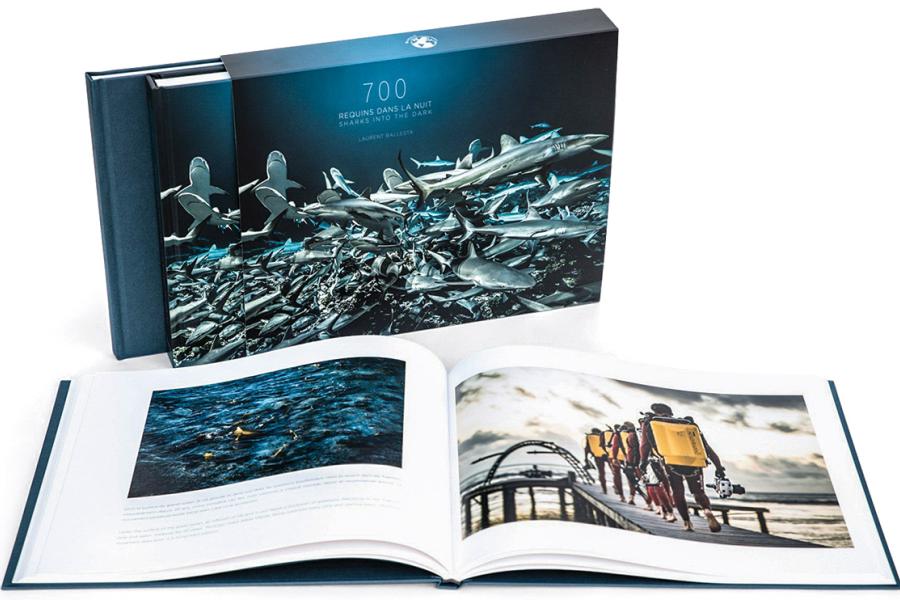 The Best Books for Aspiring Underwater Photographers | Scuba Diving