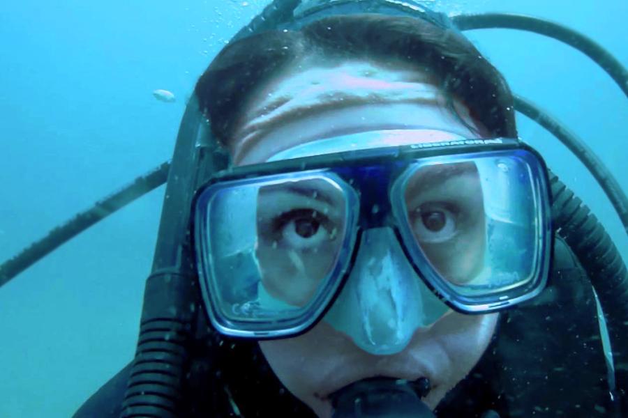 What It's Like to Get Scuba Certified During The Coronavirus Pandemic ...