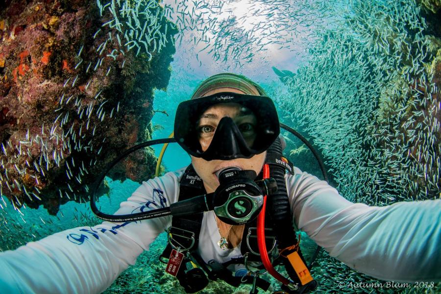 An Unforgettable Dive: From Chemical Streaks to Clean Oceans | Scuba Diving