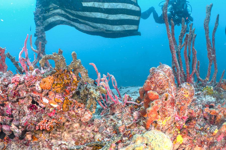Life's a Scuba Smorgasbord When You Kick Back in the Keys | Scuba Diving