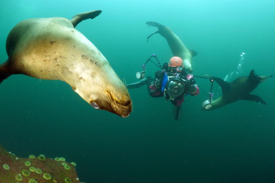 Scuba Diving West Canada’s Emerald Sea | Scuba Diving