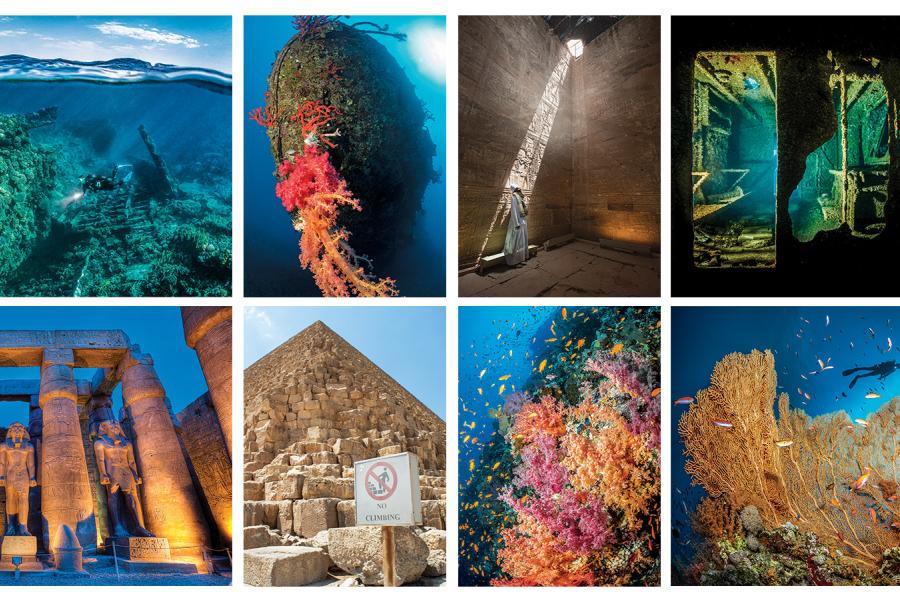 Egyptian Treasures: Uncovering the Wonders of the Red Sea and the Nile ...