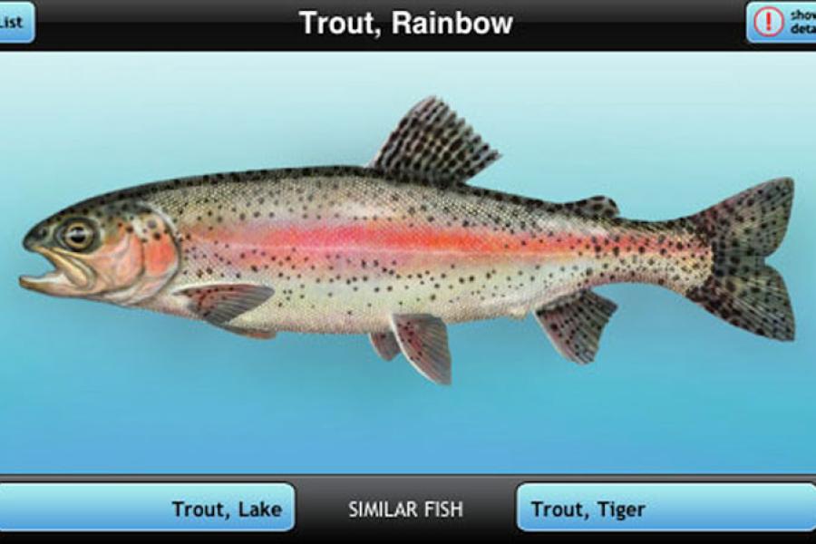 Scuba App Review: Find-A-Fish and Find-A-Fish Lite | Scuba Diving