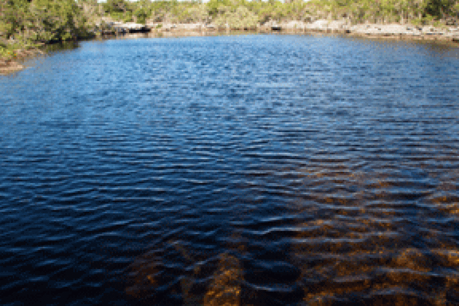 Diving Into an Inland Blue Hole Cave System | Scuba Diving