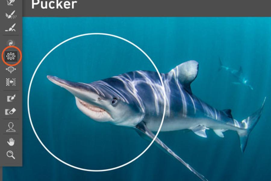 Imaging Tutorial: Retouching for Good or Evil | Scuba Diving