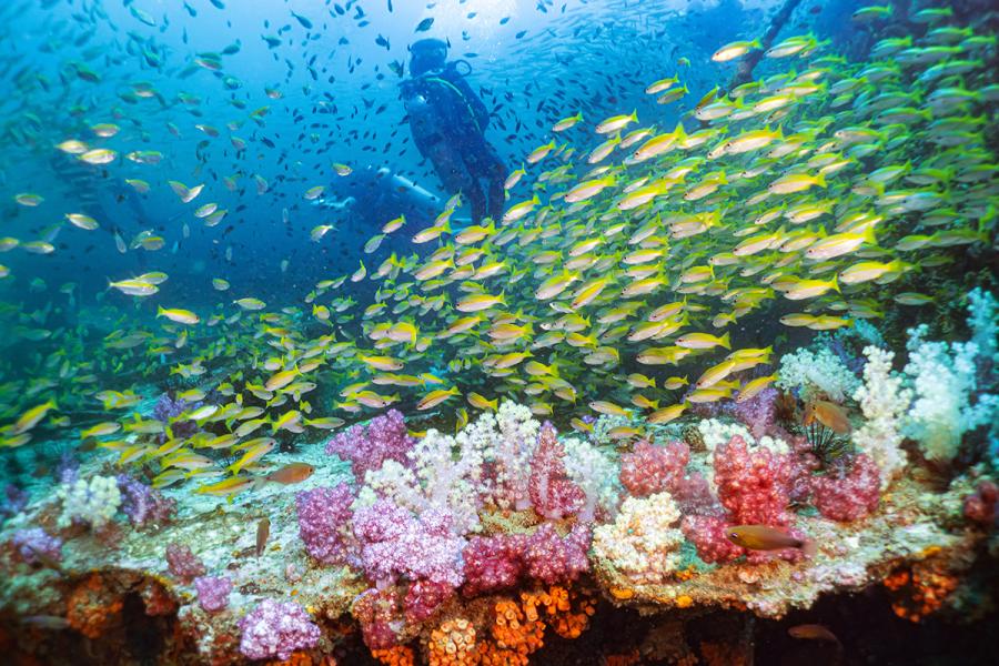 The Best Wreck Dives in Southeast Asia | Scuba Diving