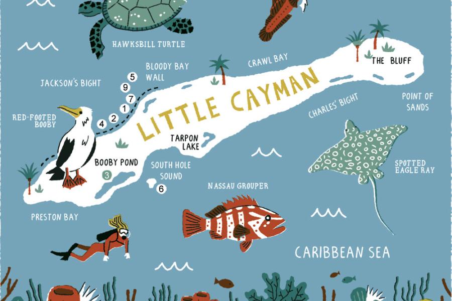 10 Reasons Why Scuba Divers Love Little Cayman | Scuba Diving