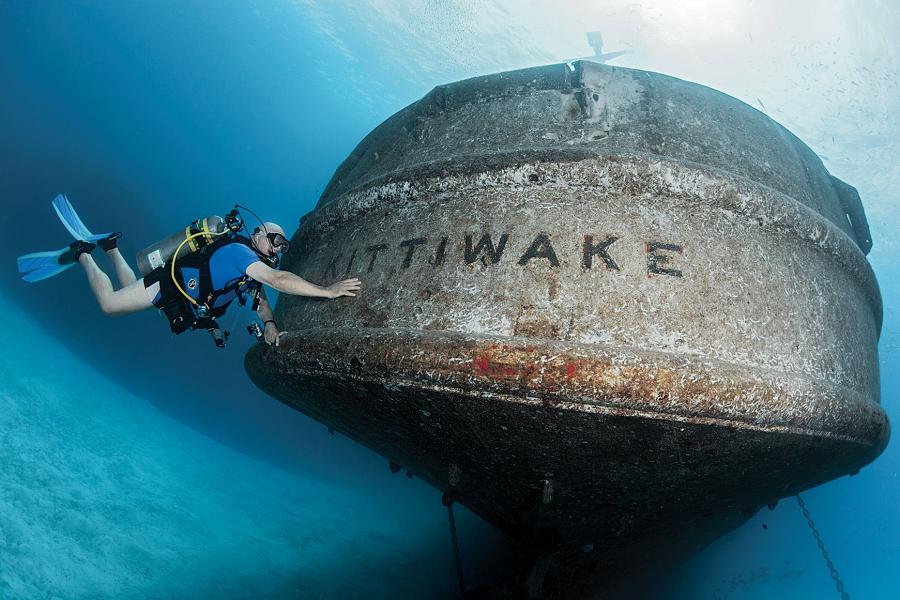 This Naval Officer Describes the Heartwarming Story About Scuba Diving ...