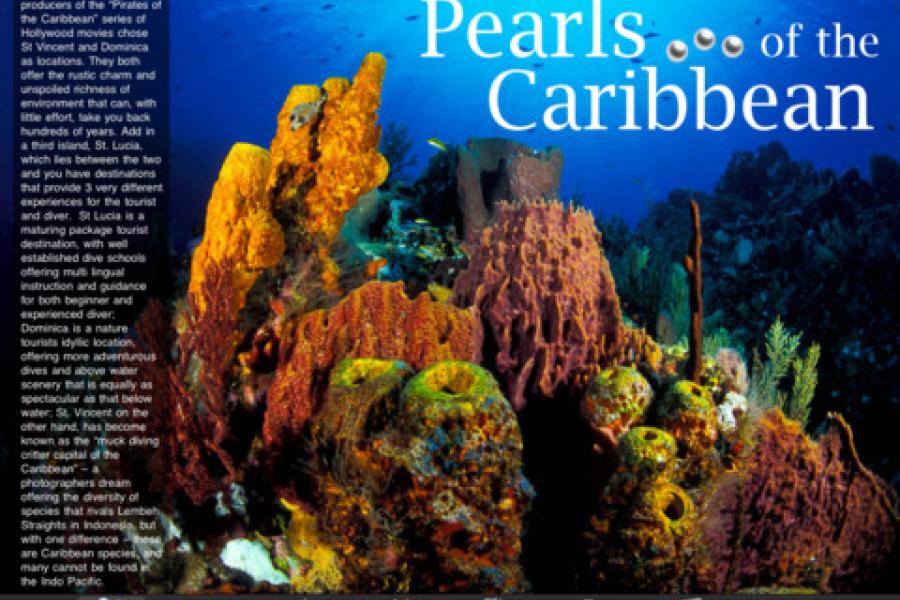 Scuba App Review: Pearls of the Caribbean HD | Scuba Diving