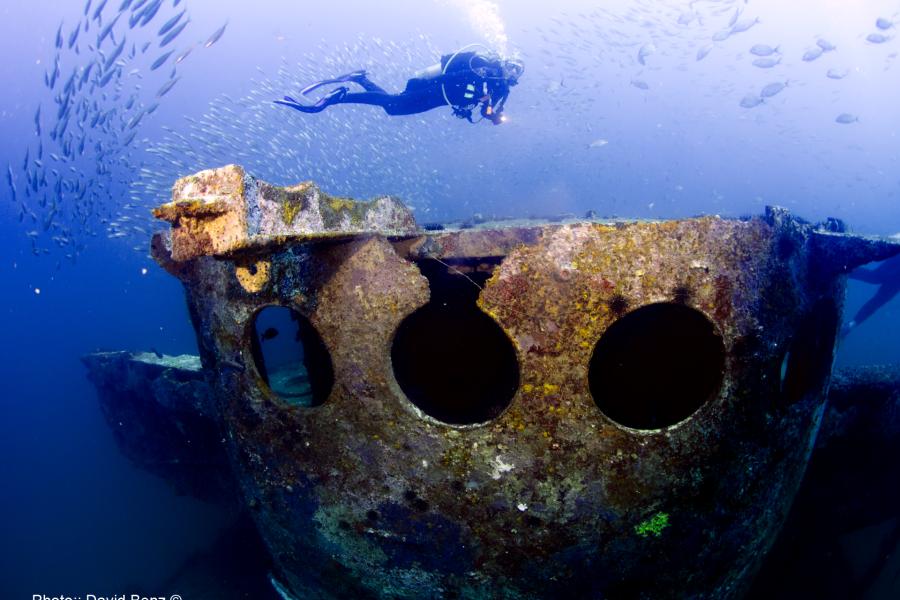Tips To Get Better Wide-Angle Underwater Photos | Scuba Diving