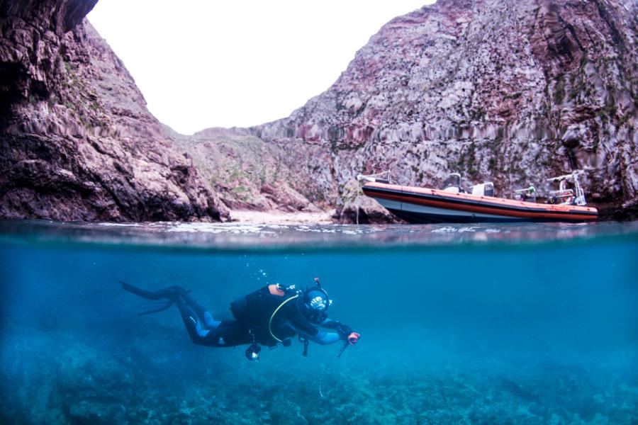 Exploring Portugal from Marine to Cuisine as a Scuba Diver | Scuba Diving