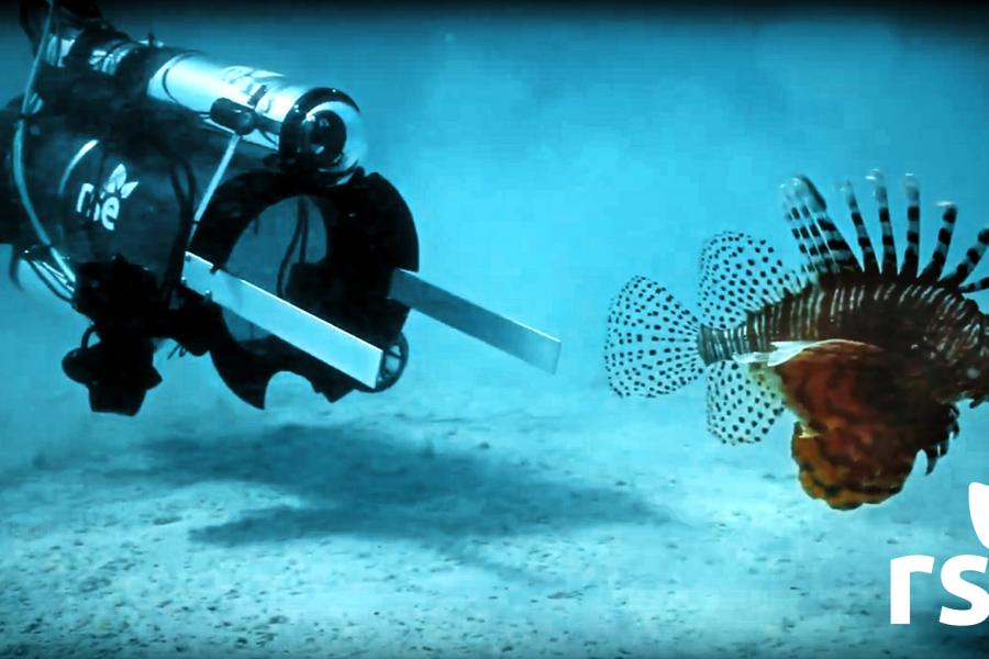 Meet the Robot That's Sucking Up Lionfish | Scuba Diving