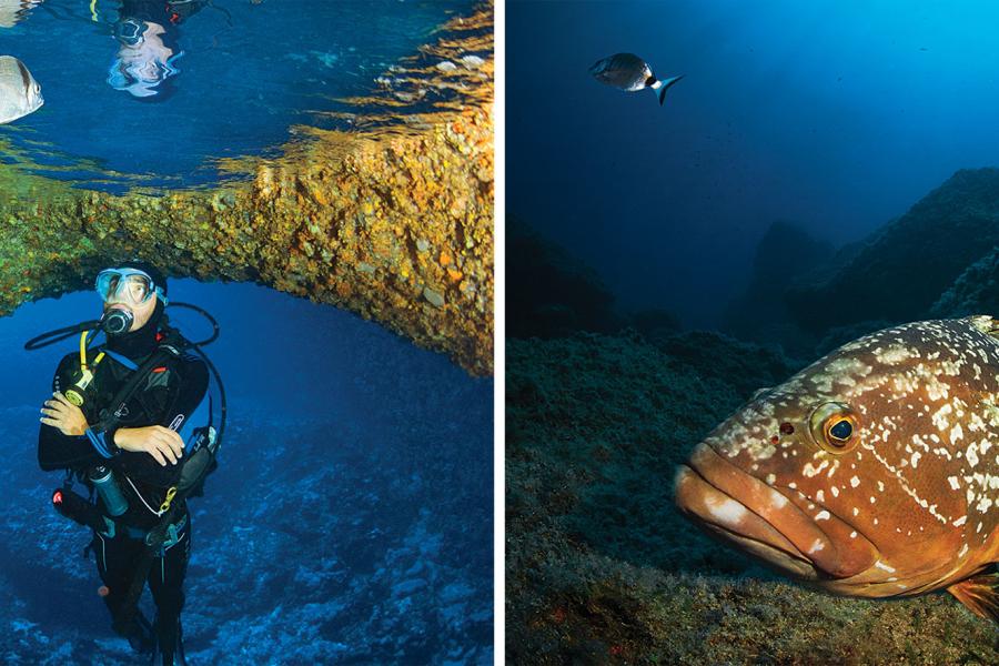 Travel Guide to the Italian Island of Sardinia | Scuba Diving