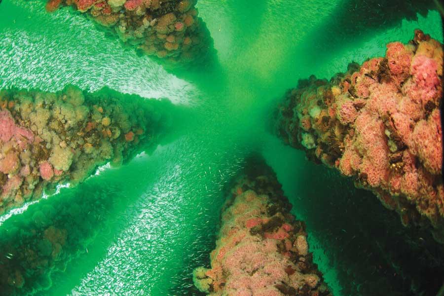Structure Diving: Bridges, Piers and Oil Rigs | Scuba Diving