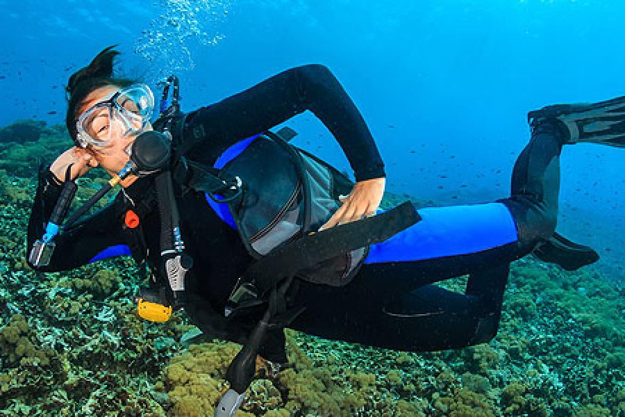 Top 10 Signs Your Buddy is Suffering From Nitrogen Narcosis | Scuba Diving