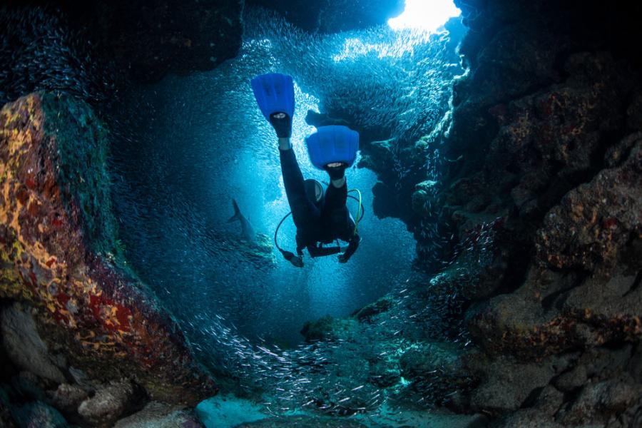 101 Best Scuba Diving Sites, Operators, Destinations and More | Scuba ...