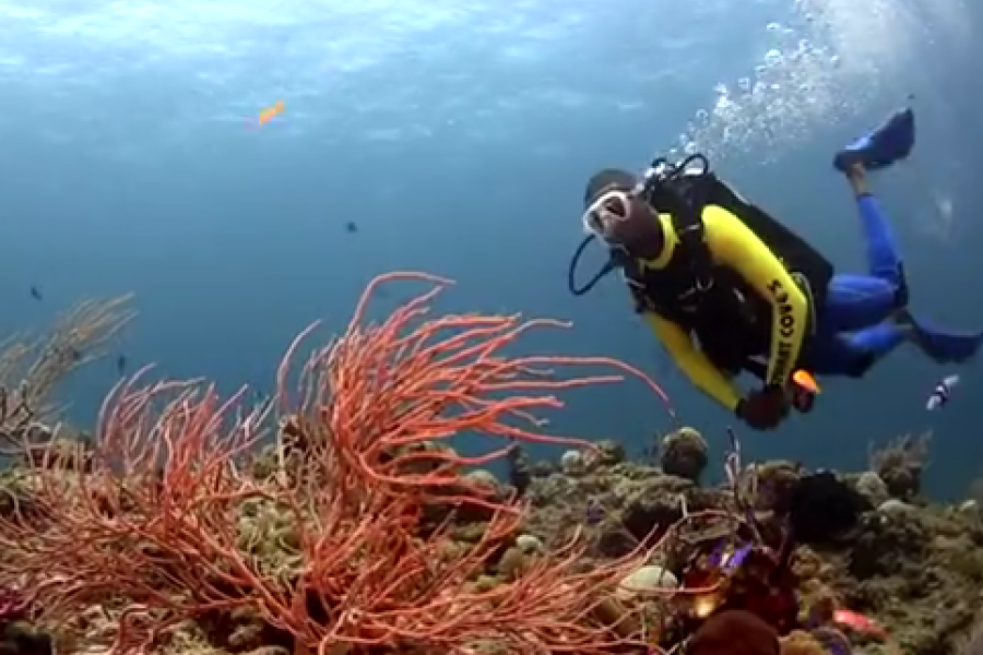 Stuart Cove’s TV Episode 2: Dangerous Reefs | Scuba Diving