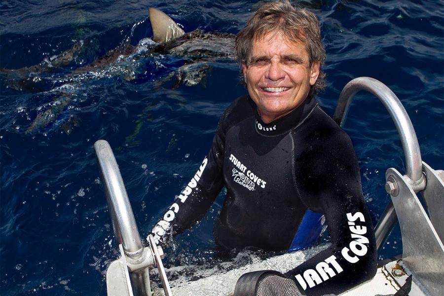 Stuart Cove Talks shark diving, training movie stars and sinking wrecks ...