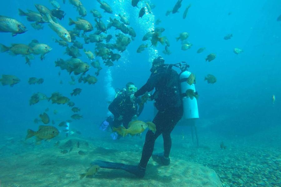 Port of Pirates for Divers | Scuba Diving