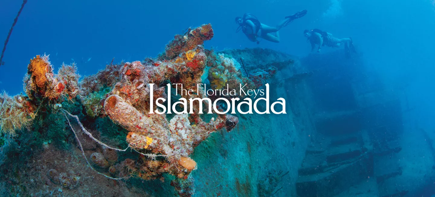 Islamorada | Scuba Diving