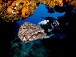 The Ultimate Scuba Diving Travel Guide | Scuba Diving